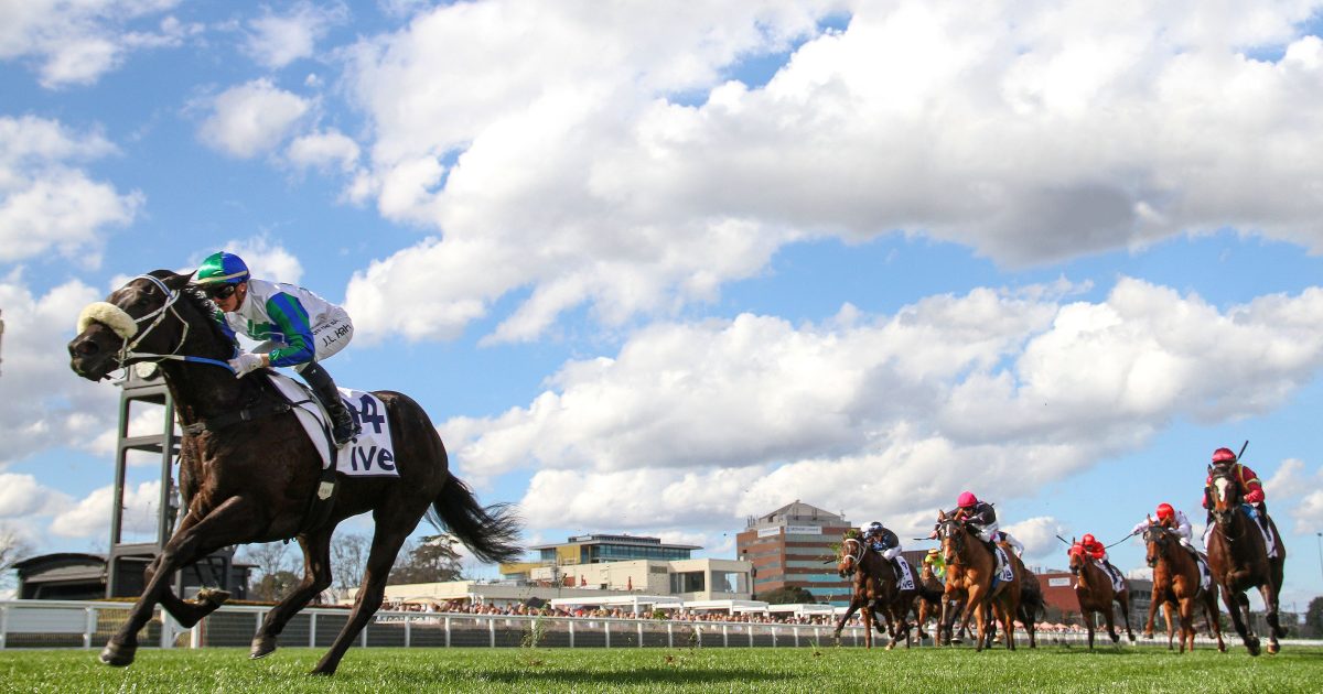 Everest Contender Ready to Race | Entain Australia & New Zealand