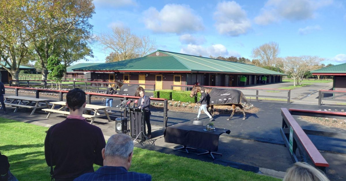 Entain AU Receives Ministerial… | Entain Australia & New Zealand